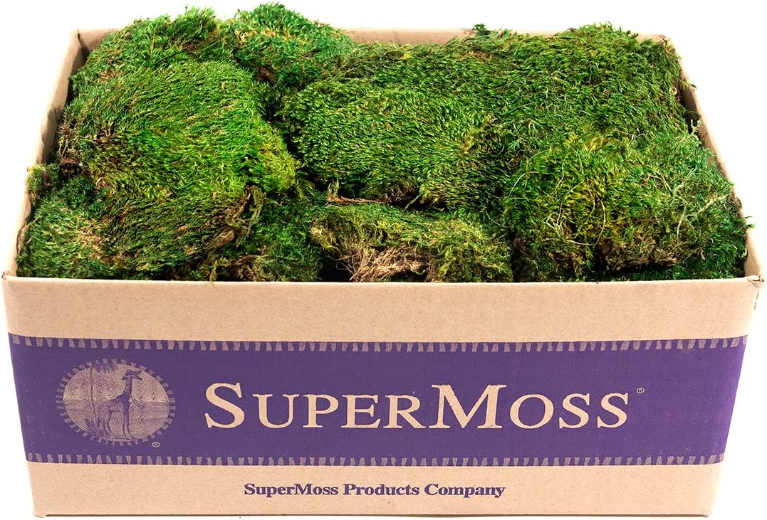 21538 Super Moss Preserved Mood Moss – Yellow Rose Floral Supply